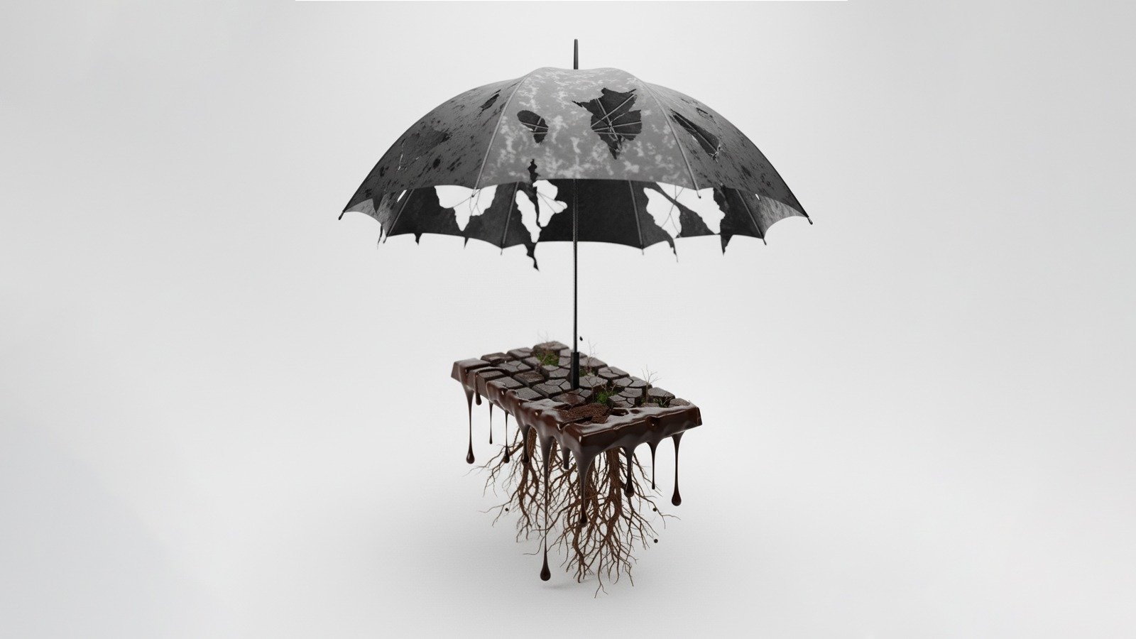 The Silent Rain Thief How the Felling of Africa’s Second Lung is ...